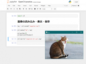 【Pythonで画像処理をはじめよう】OpenCVの使い方を解説｜Udemy メディア
