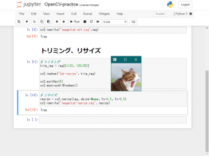 【Pythonで画像処理をはじめよう】OpenCVの使い方を解説｜Udemy メディア